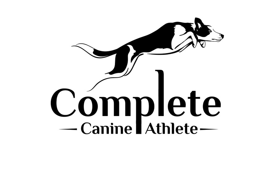 Create a high energy dog agility logo! | Logo design contest