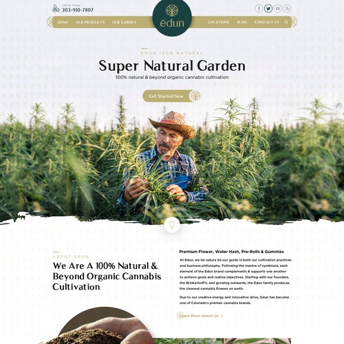 Designs | We need a powerful web design for our Sustainable Cannabis ...