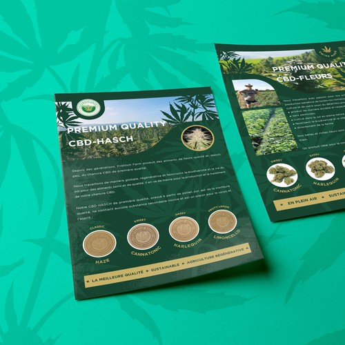 Hemp Branding Ideas - 51+ Best Hemp Brand Identity Designs 2023 | 99designs