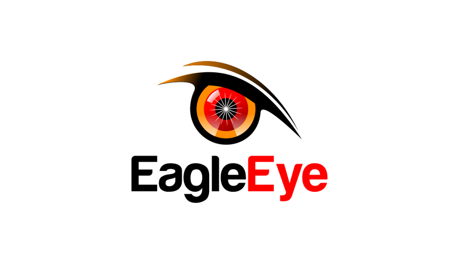 Create a logo with an eagle+camera lens eye or car+dashcam for Eagle ...