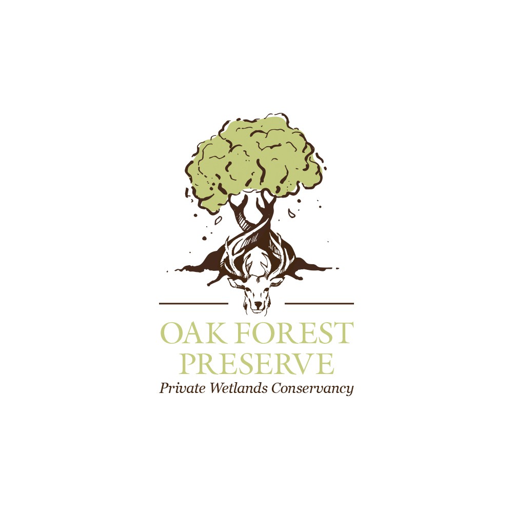 Oak Tree Logos - Free Oak Tree Logo Ideas, Design & Templates