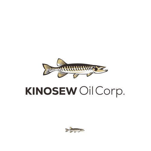 Designs | Kinosew (Big Fish) | Logo design contest