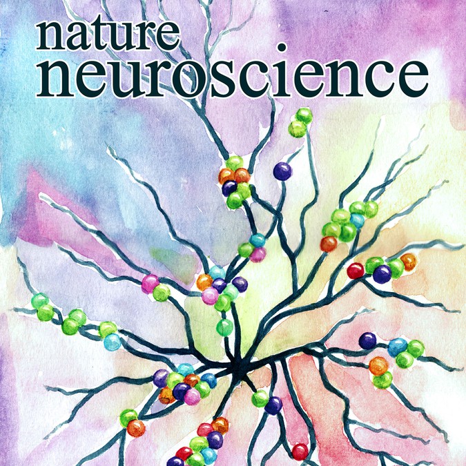 Illustration for the cover of prestigious neuroscience journal, Nature ...