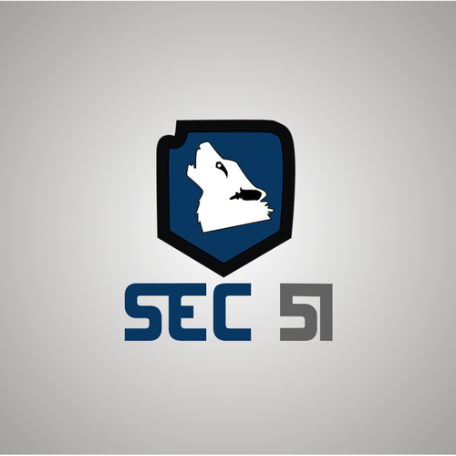 Designs | Create a professional brand identity for a new IT Security ...