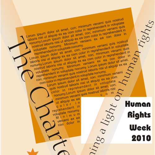 Human Rights Week 2010 Poster | Print or packaging design contest