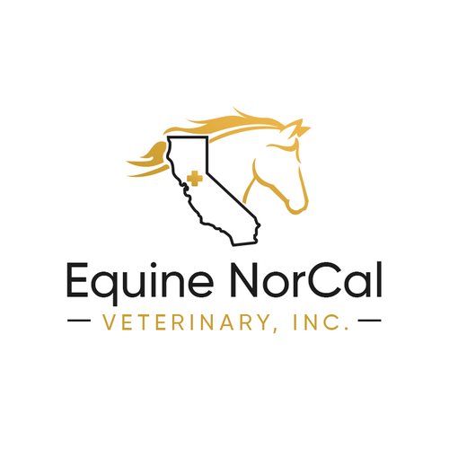 Designs | Looking for an eye catching and powerful equine veterinary ...