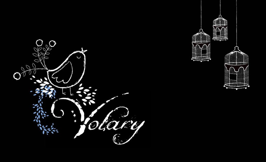 Singer/songwriter needs a simple logo | Logo design contest