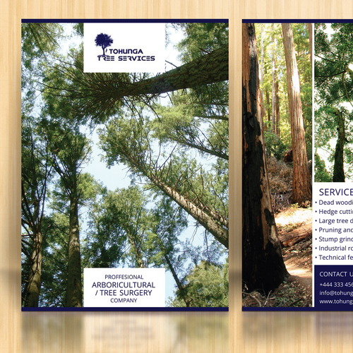 Design a professional flyer that stands head and shoulders above the ...