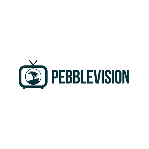 Designs | PebbleVision | Logo design contest
