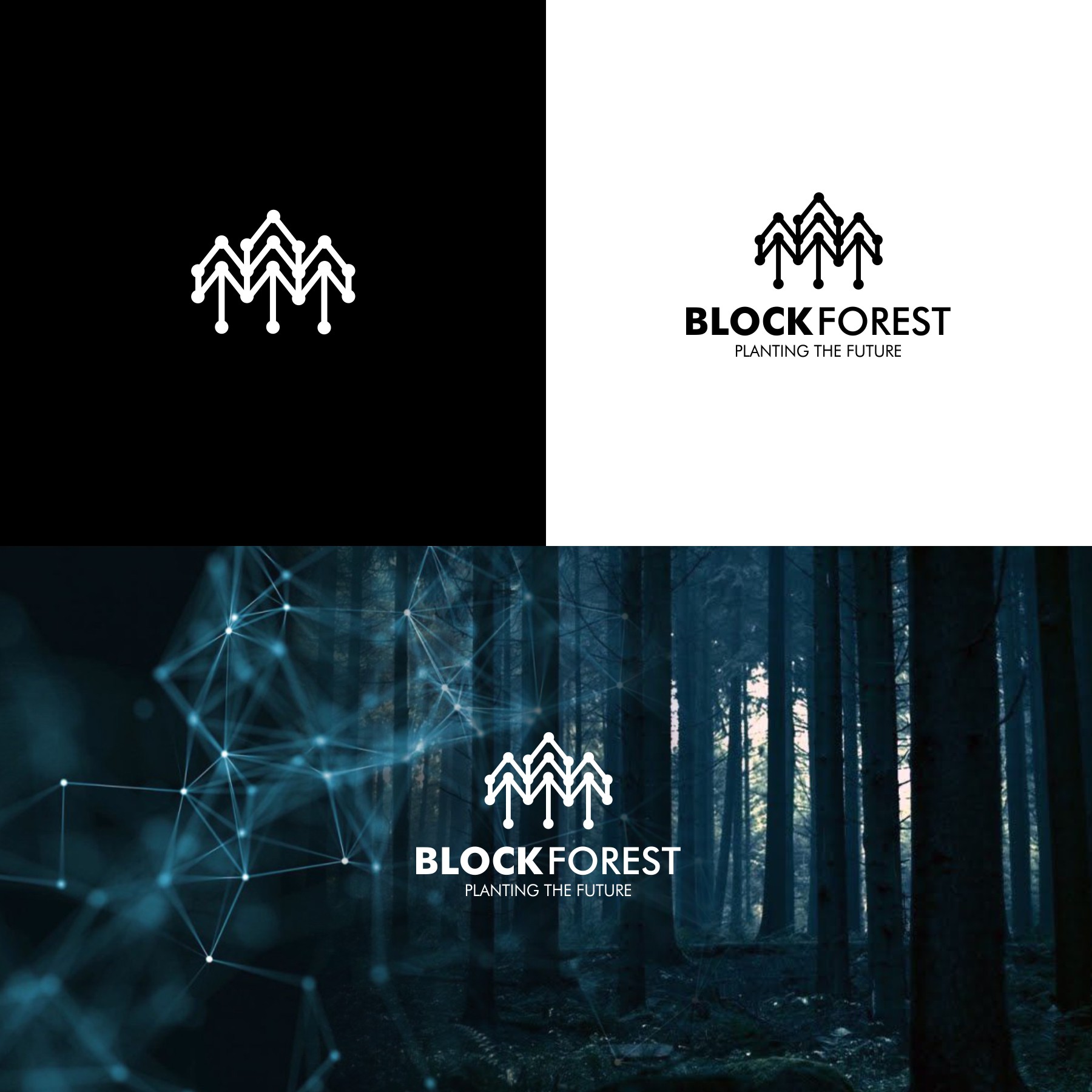 Bp Logos - Free Bp Logo Ideas, Design & Templates