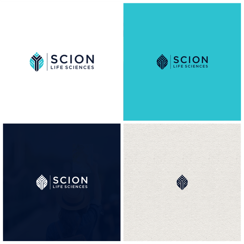 Designs | Putting the Finishing Touches on Our Life Sciences Company ...