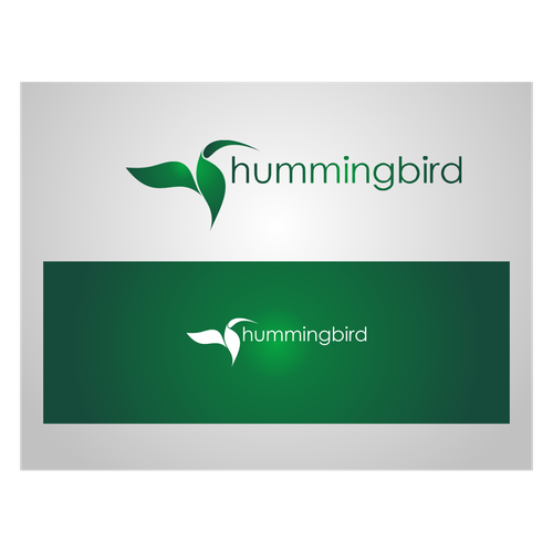 Hummingbird logo design | Logo design contest
