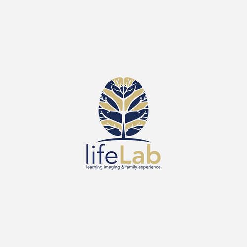 Brain Imaging Research Lab Logo. | Logo & social media pack contest