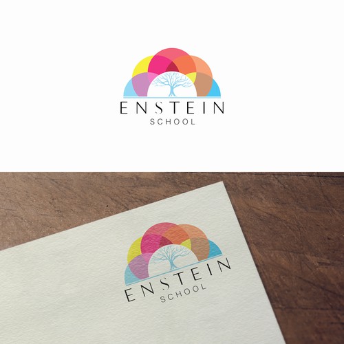 design a charming and attractive logo for Einstein school | Logo design ...