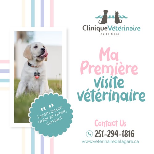 Designs | My first veterinary visit | Postcard, flyer or print contest