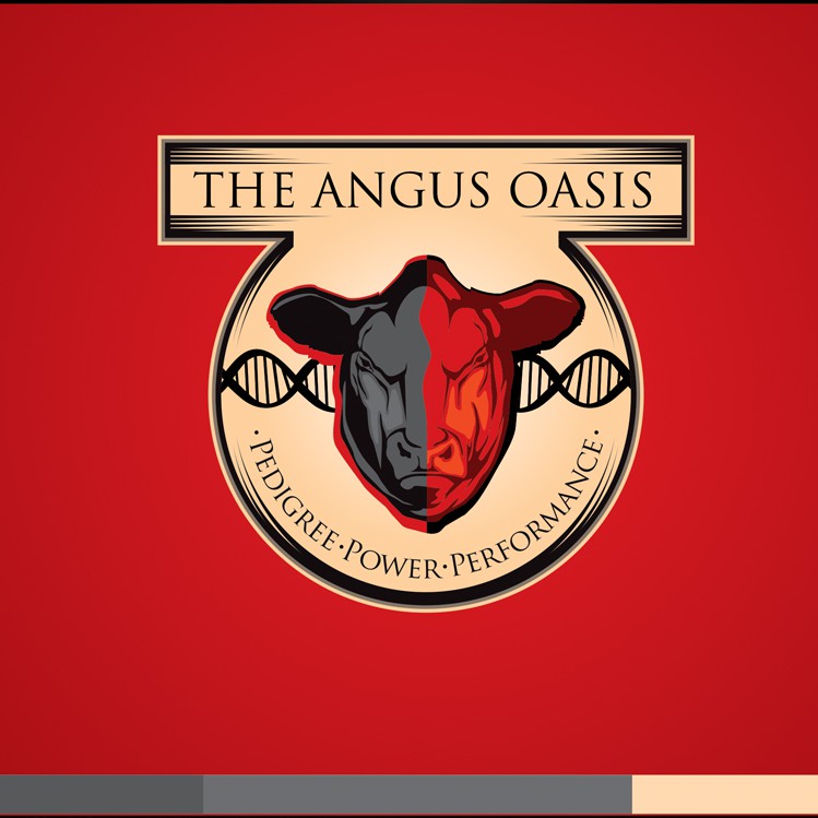 Angus Logos - Free Angus Logo Ideas, Design & Templates