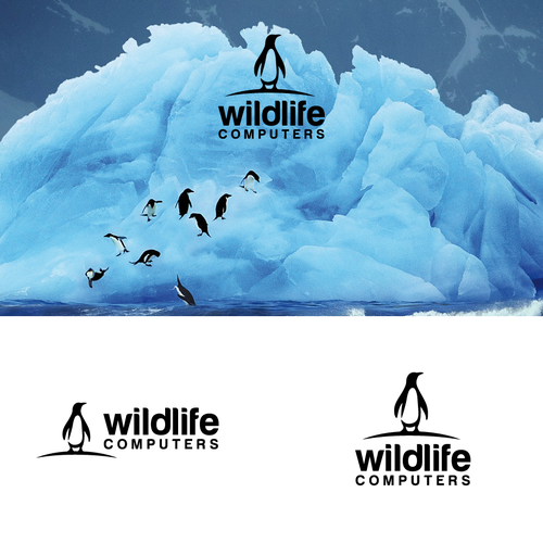 Wildlife Computers needs to update their font and penguin logo to be ...
