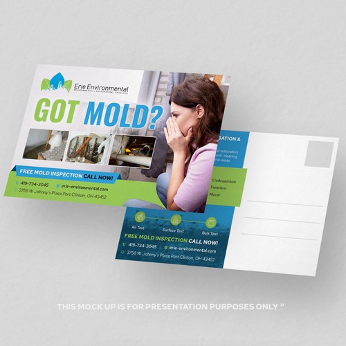 Designs | Get the word out about mold and that our company will take ...