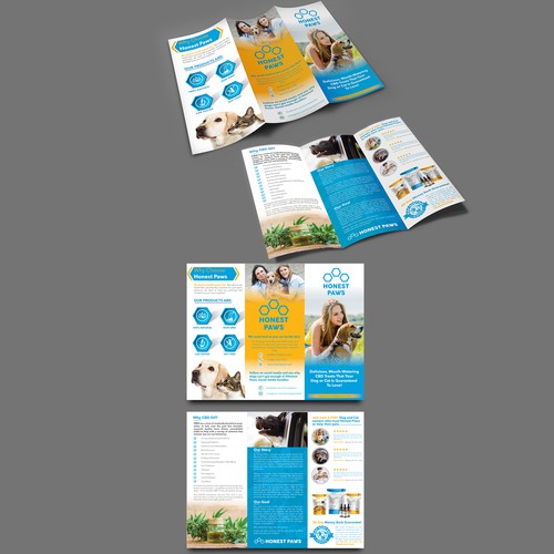 Design a kick-ass tri-fold brochure for rising CBD startup | Brochure ...