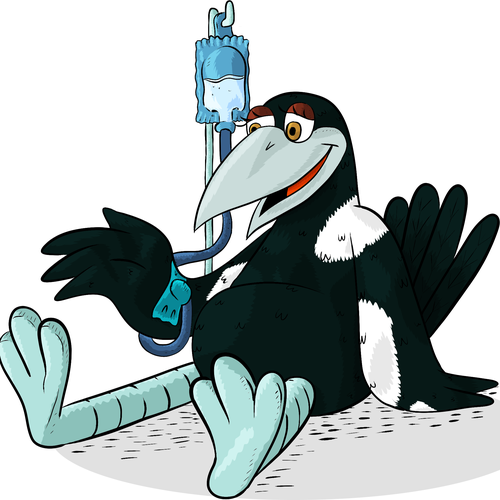 99nonprofits: Design a Magpie Mascot for our charty! | Character or ...