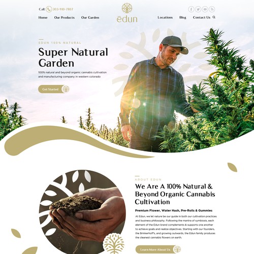 Designs | We need a powerful web design for our Sustainable Cannabis ...