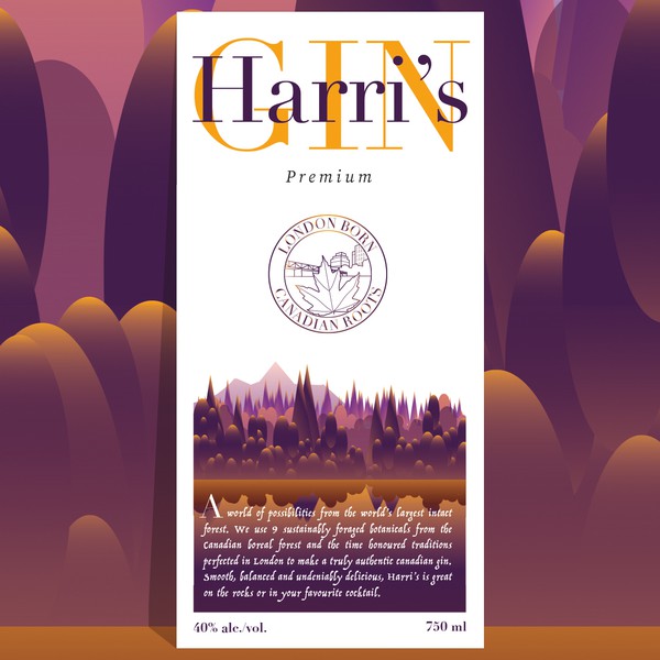 Create a infographic capturing a mountain side illustration ...