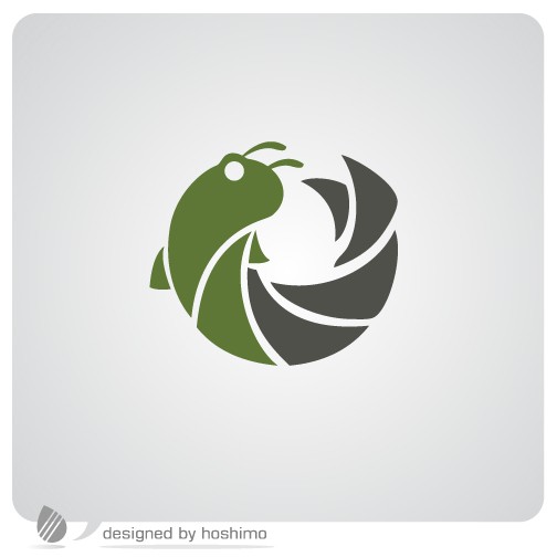 Hummingbird Logos - Free Hummingbird Logo Ideas, Design & Templates