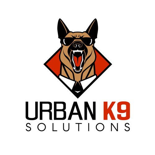 Urban K9 Solutions - Leading belgian malinois breeder & personal protection dogs provider ...