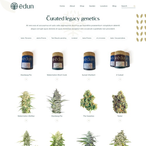 Designs | We need a powerful web design for our Sustainable Cannabis ...