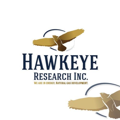 I need a hawk, need to update a logo | Logo design contest