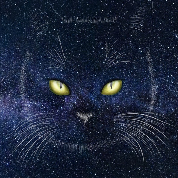 65+ Star Illustration Ideas 2022 - Custom Star Illustrations & Images ...