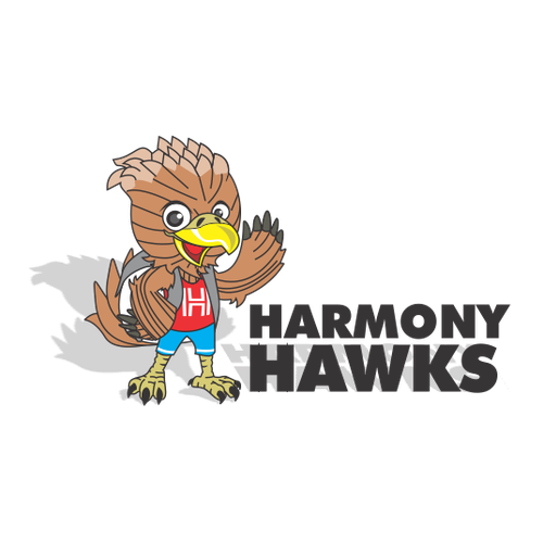Kid friendly Hawk mascot that will promote Hawks rising to excellence ...