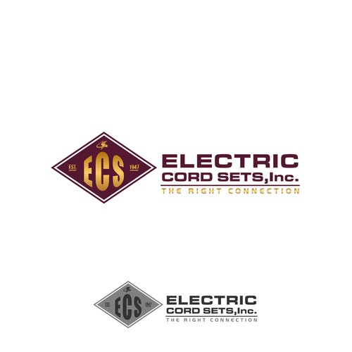 ECS New Logo Contest | Logo design contest