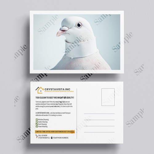Designs | Design a Hilarious & Eye-Catching Window Cleaning Postcard ...