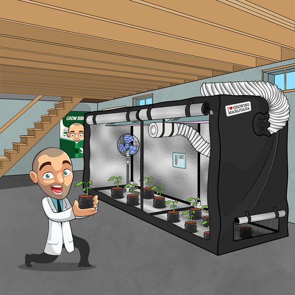 Medical Marijuana Indoor Grow Room Designs