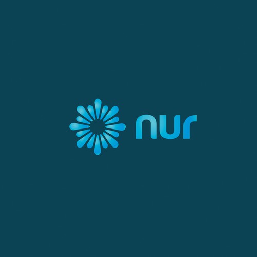 Create a winning logo for Nur | Logo design contest