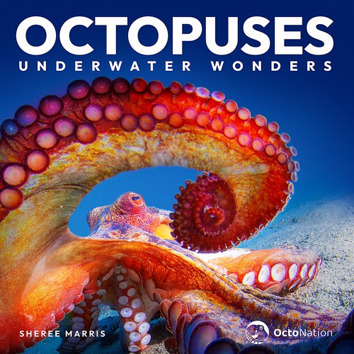 Designs | Help us inspire, educate and showcase the wonders of ...