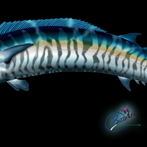 Wahoo Sport fish for fishing tournament brochure | Illustration or ...