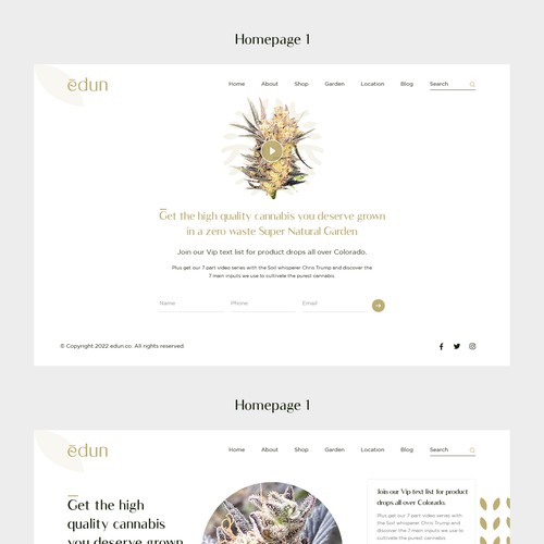 Designs | We need a powerful web design for our Sustainable Cannabis ...