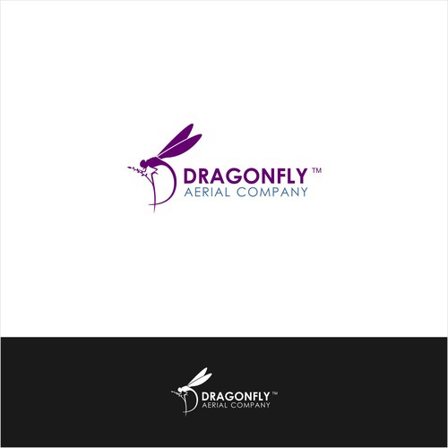 Designs | Dragonfly Aerial Company | Logo design contest