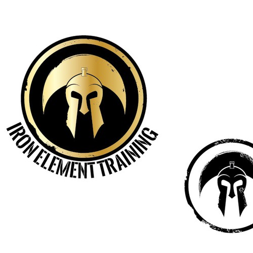 Create a winning logo for a firearms and self defense training company ...