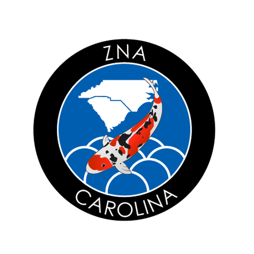 ZNA Carolina logo | Logo design contest
