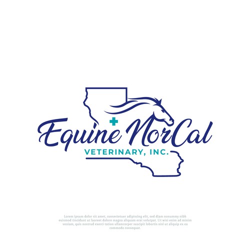 Designs | Looking for an eye catching and powerful equine veterinary ...
