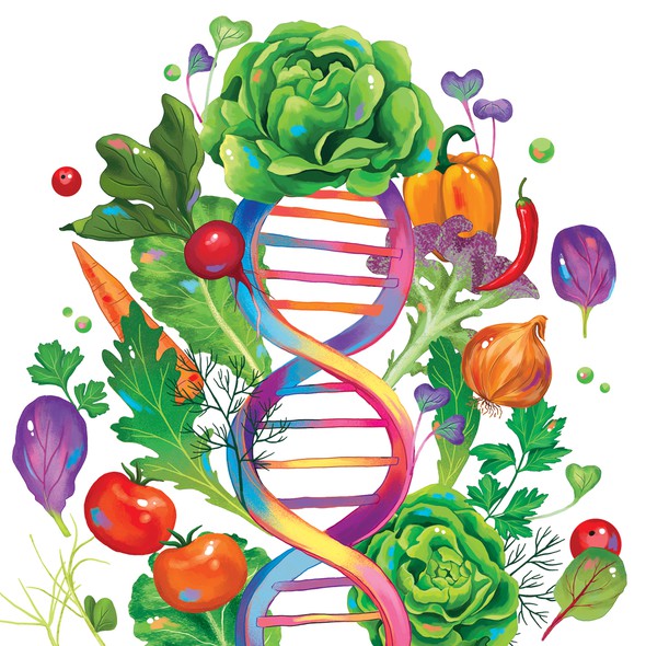 Organic Illustrations: the Best Custom Illustrated Organic Image Ideas ...