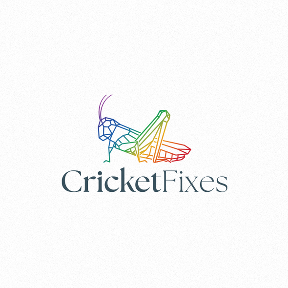 Cricket Designs - 59+ Cricket Design Ideas, Images & Inspiration In ...