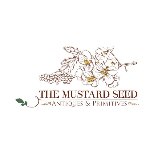 The Mustard Seed | Logo & hosted website contest
