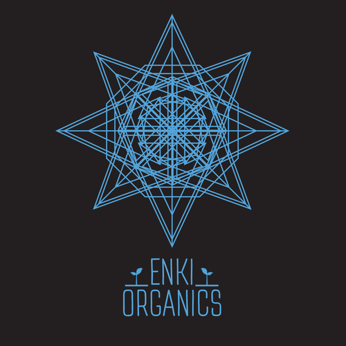 Help us create a 'tattoo worthy' symbol, to represent our high end ...