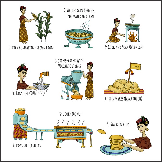 Illustrations for Corn Tortilla Making Process | Illustration or ...