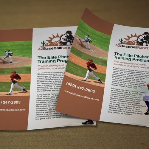 2-Sided Flyer for Elite Baseball Pitching Camps | Other business or ...