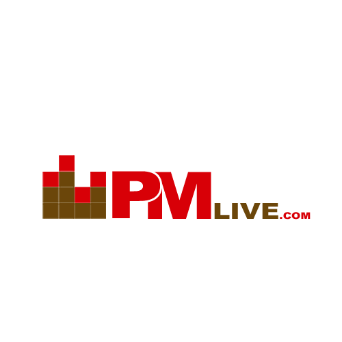 RELAUNCH of PM-LIVE.COM |PROGRESS MAGAZINE PROFESSIONAL LOGO | Logo ...